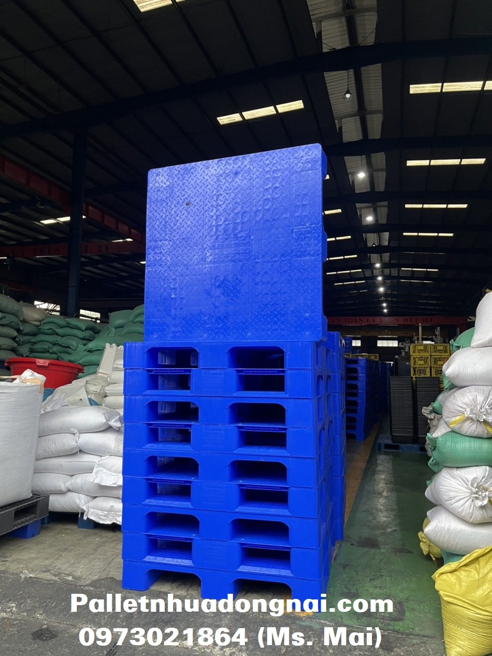 Pallet nhựa Bến Tre chất lượng bền vững, giá rẻ nhất thị trường